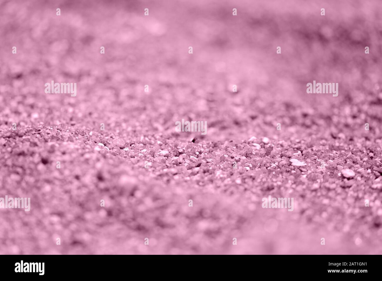 Coastal sand texture close-up. Natural background pink color toned ...