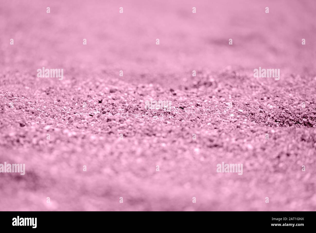 Coastal sand texture close-up. Natural background pink color toned ...