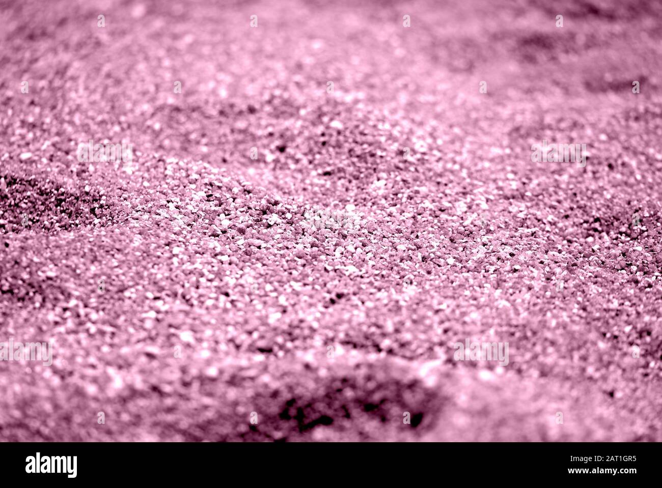 Coastal sand texture close-up. Natural background pink color toned ...