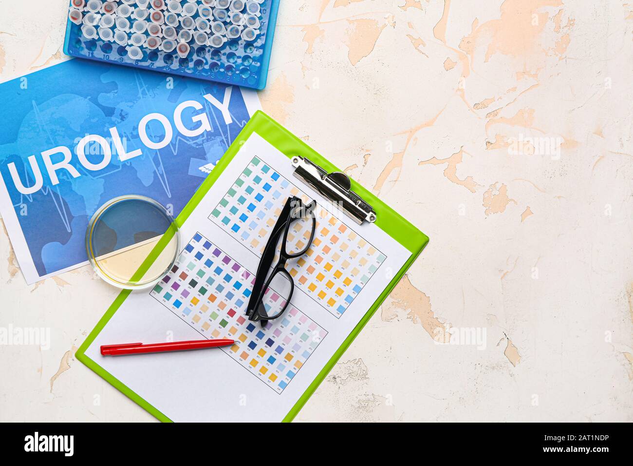 Paper sheet with text UROLOGY, test tubes and Petri dish on light ...