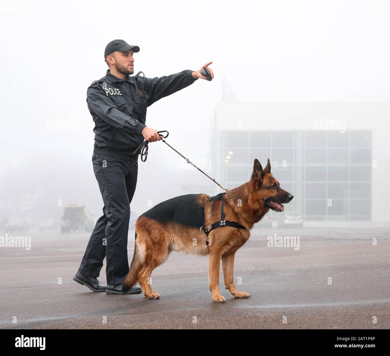 Male police officer with dog patrolling city street Stock Photo - Alamy