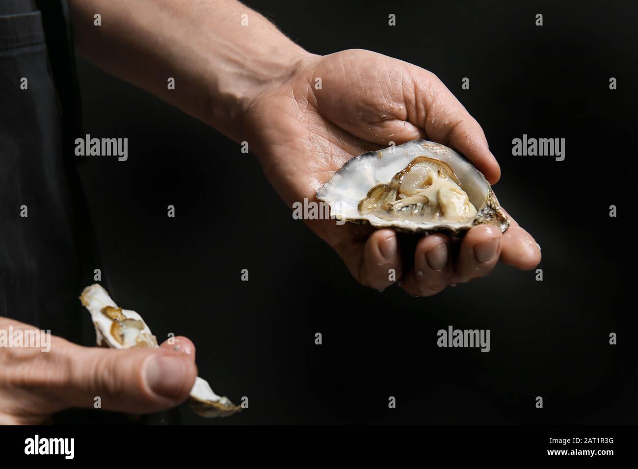 Opening Shell High Resolution Stock Photography and Images - Alamy