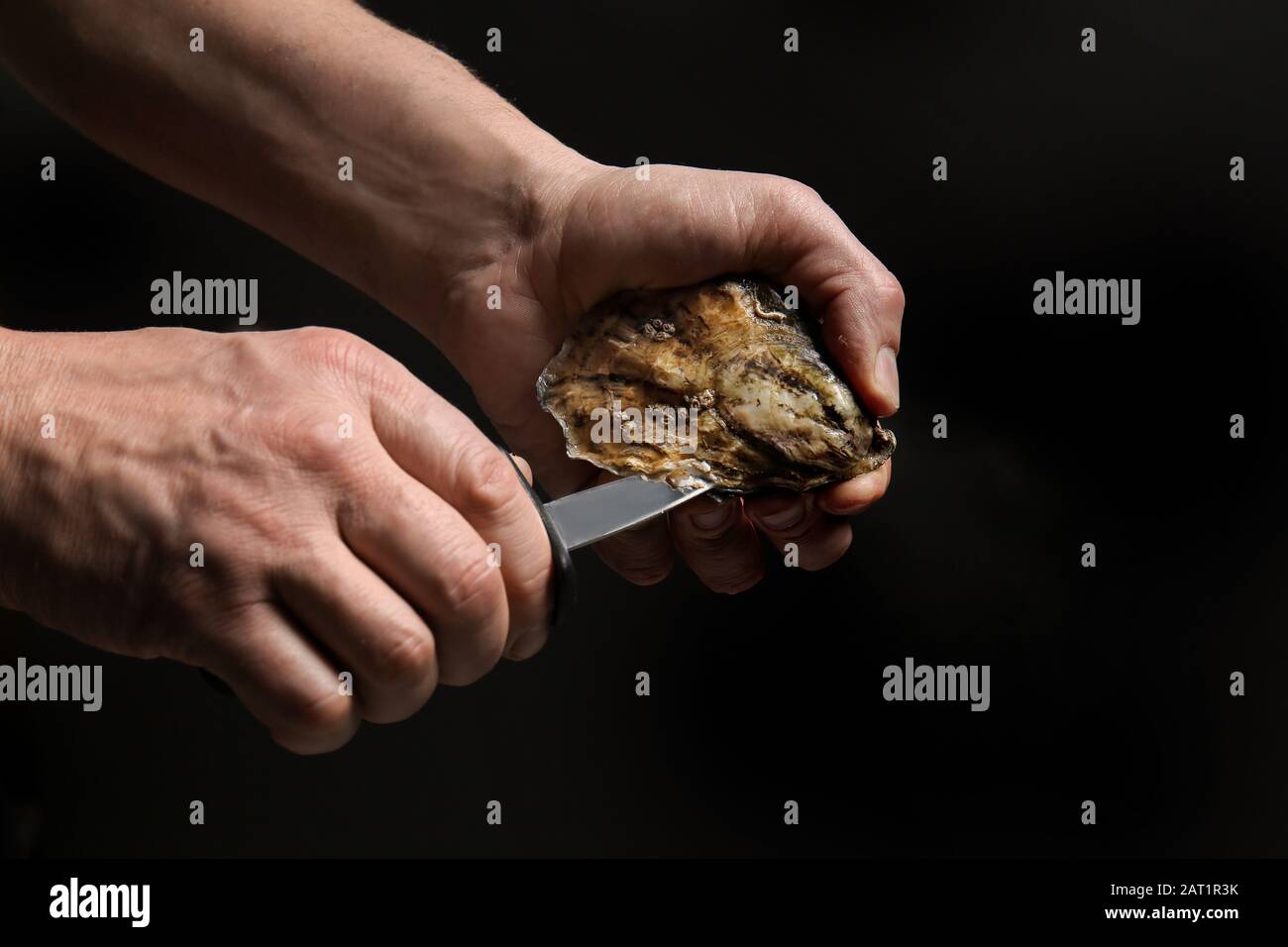 Opening Shell High Resolution Stock Photography and Images - Alamy