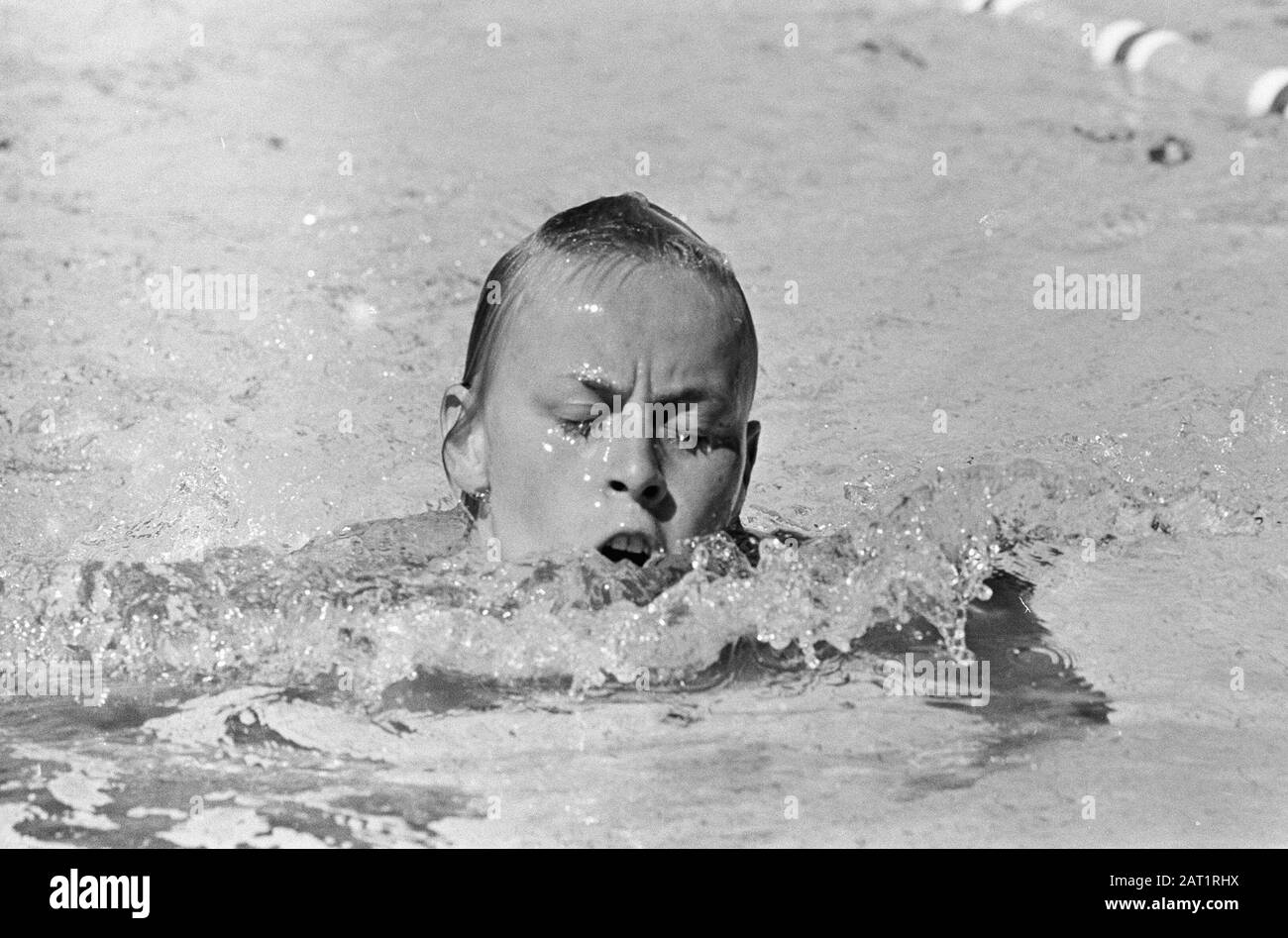 European Swimming Championships Utrecht, Gretta Kok in action Date ...