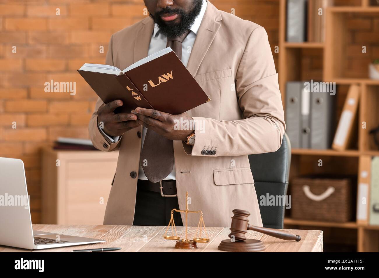Judge reading documents hi-res stock photography and images - Alamy