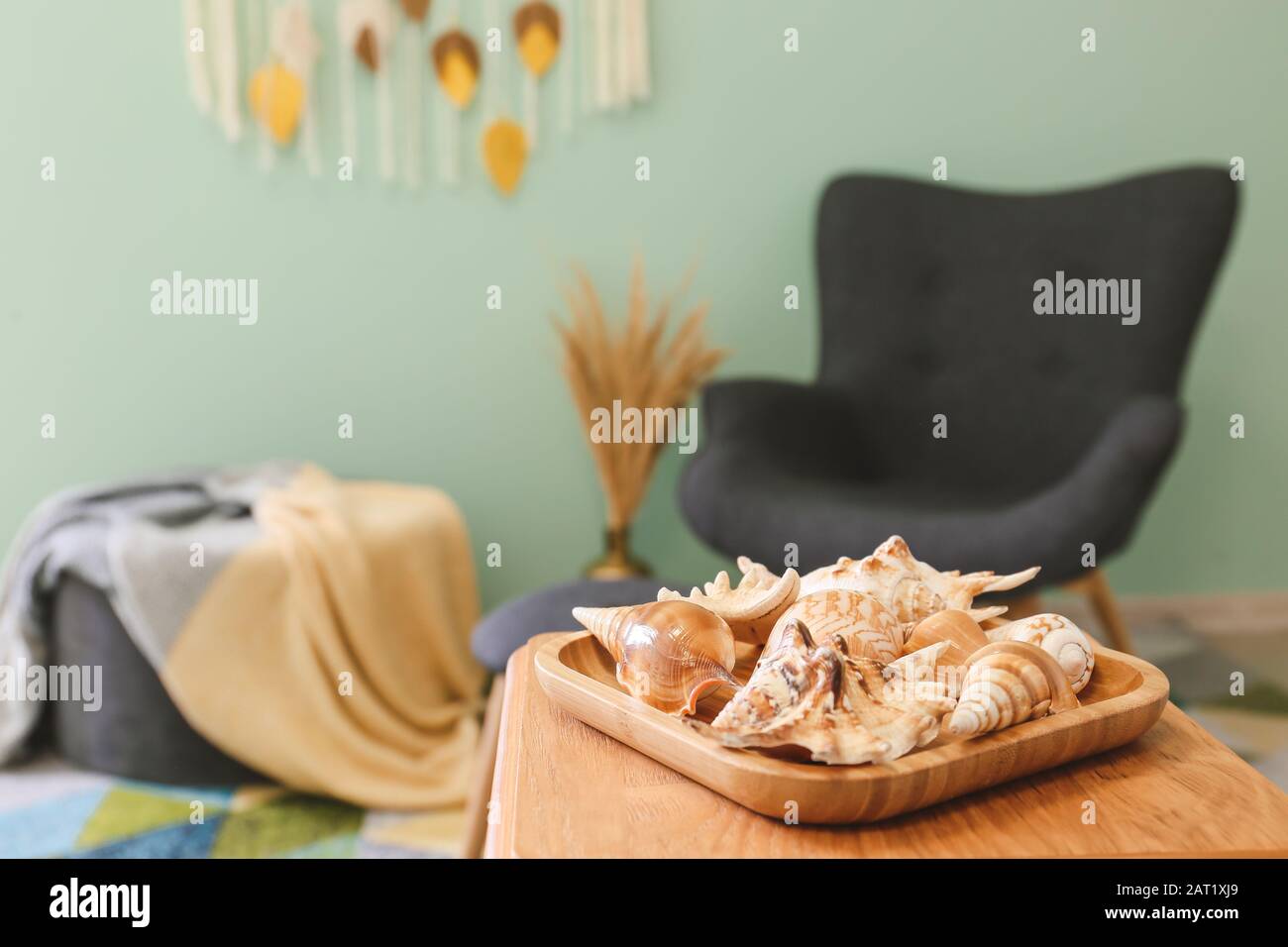 Beautiful shells plate hi-res stock photography and images - Alamy