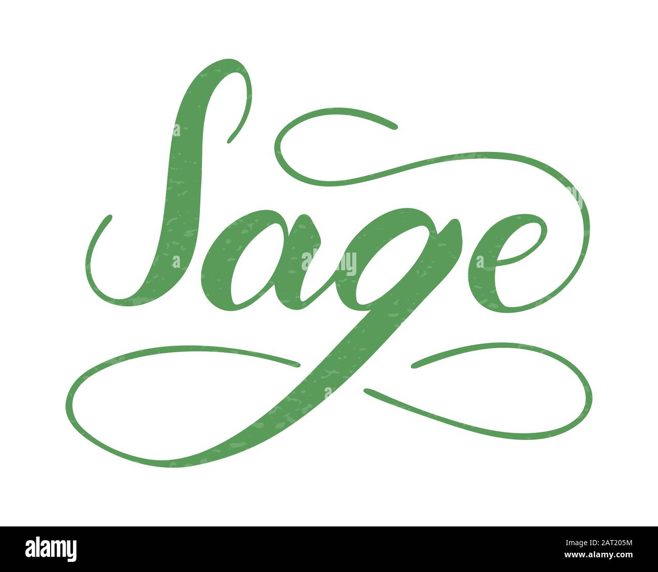 Vector hand written sage text isolated on white background. Kitchen ...