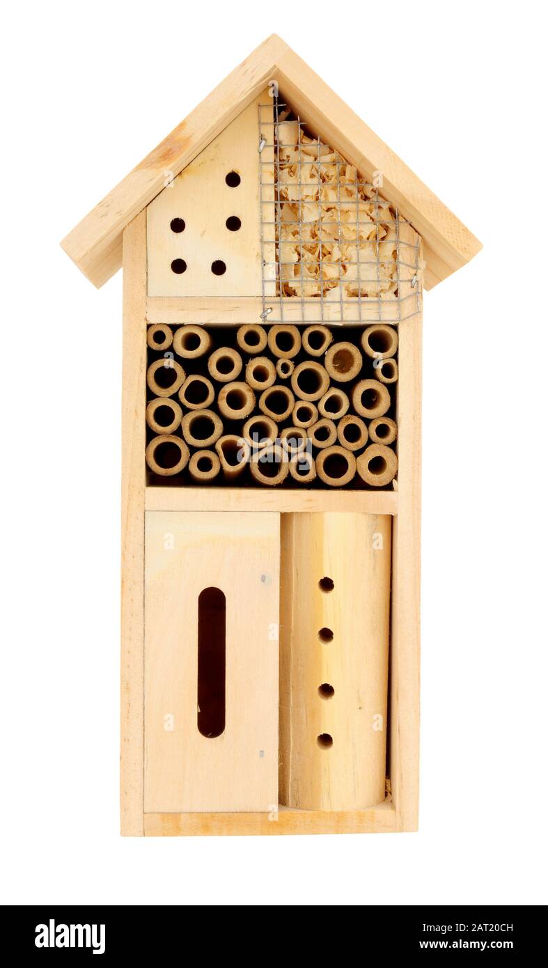 Bug House Stock Photos & Bug House Stock Images - Alamy