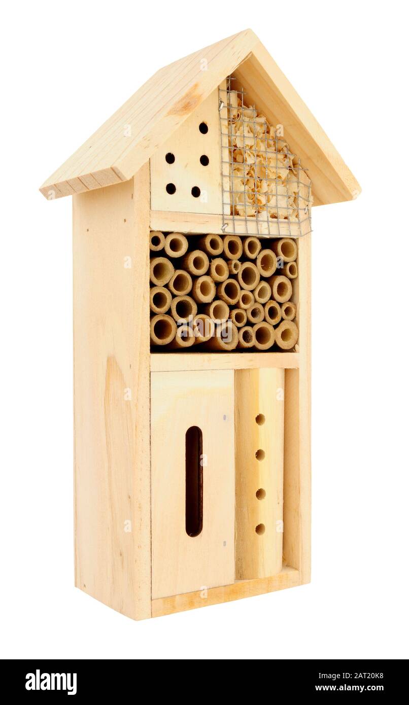 Bug House Stock Photos & Bug House Stock Images - Alamy