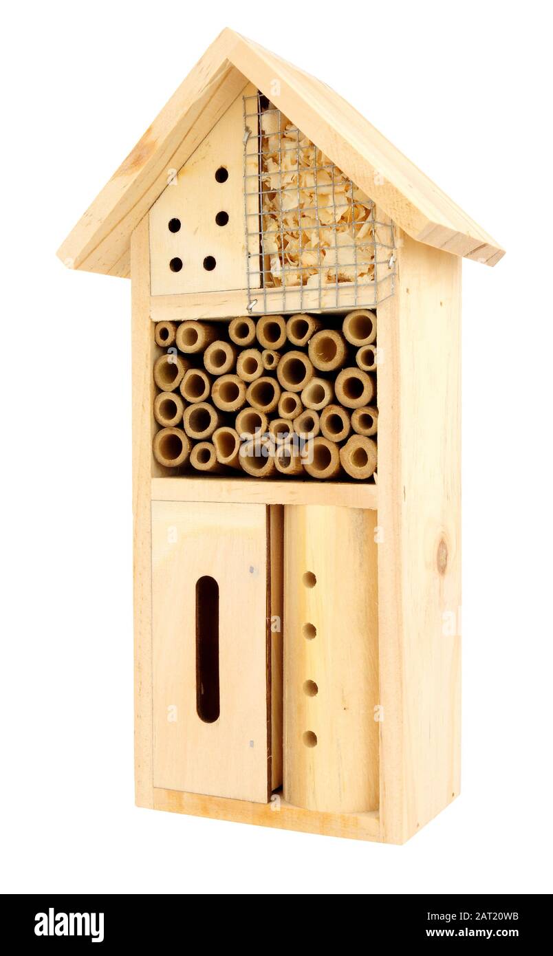 Bug House Stock Photos & Bug House Stock Images - Alamy