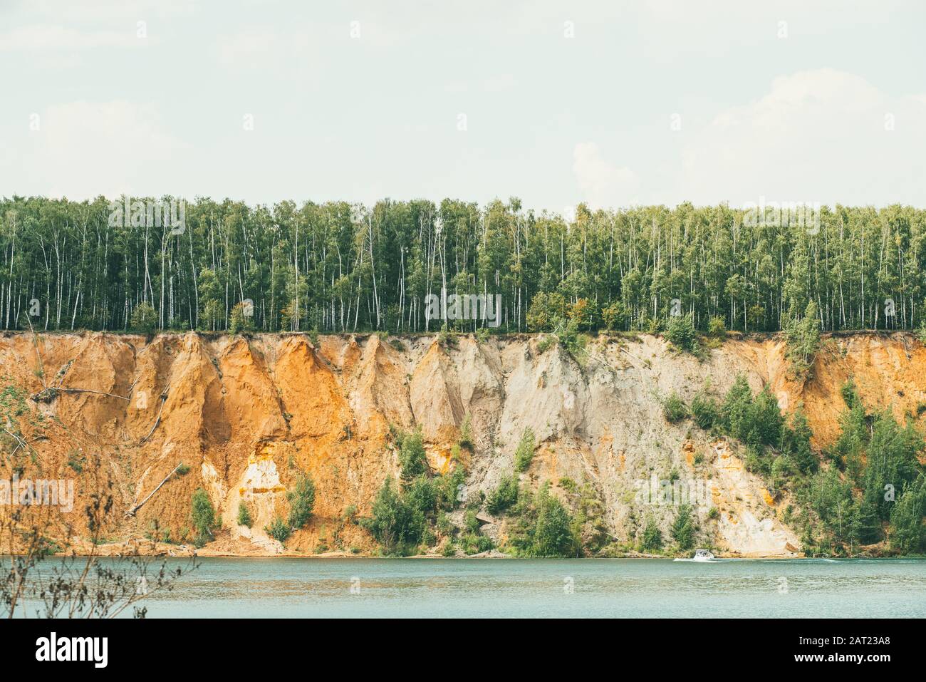 High rocky sandy steep bank covered with pine trees over a clear and ...