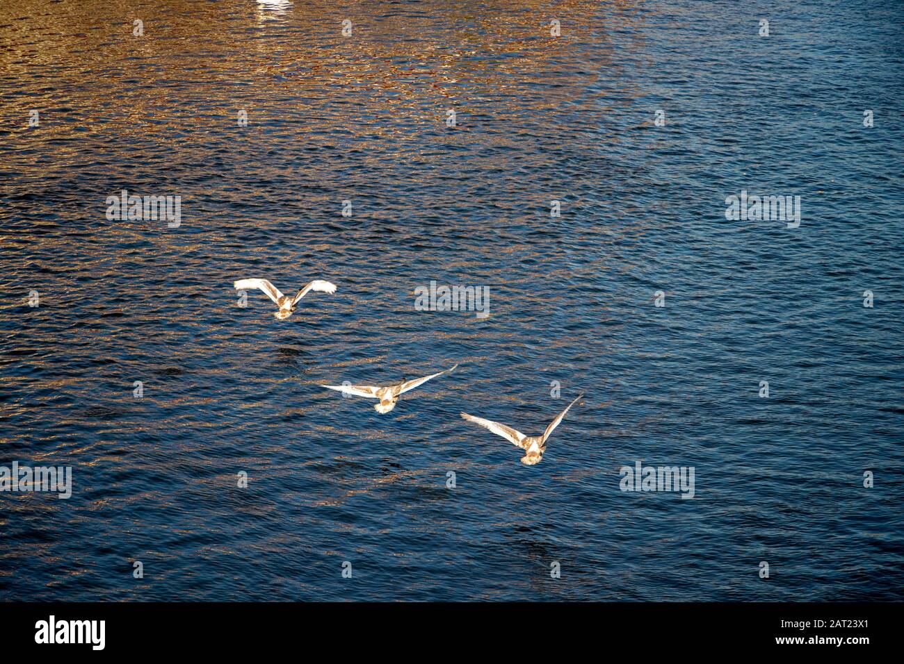Traveling over water hi-res stock photography and images - Alamy