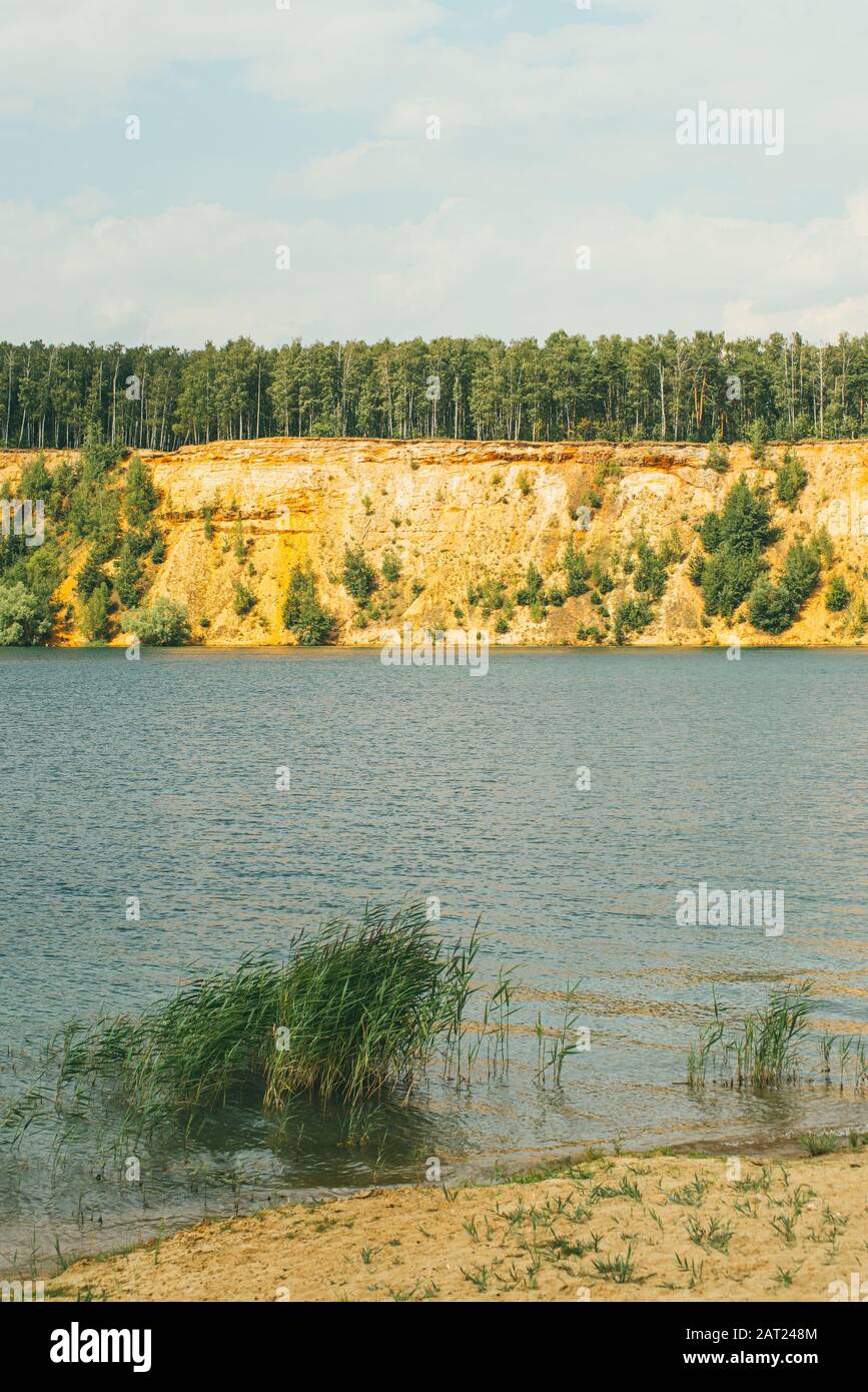 High rocky sandy steep bank covered with pine trees over a clear and ...