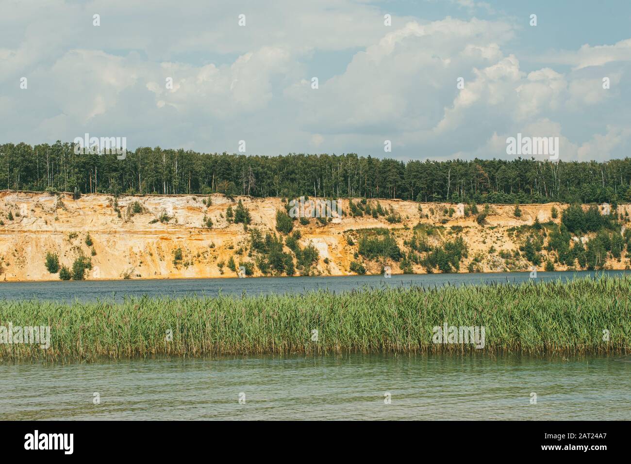 High rocky sandy steep bank covered with pine trees over a clear and ...
