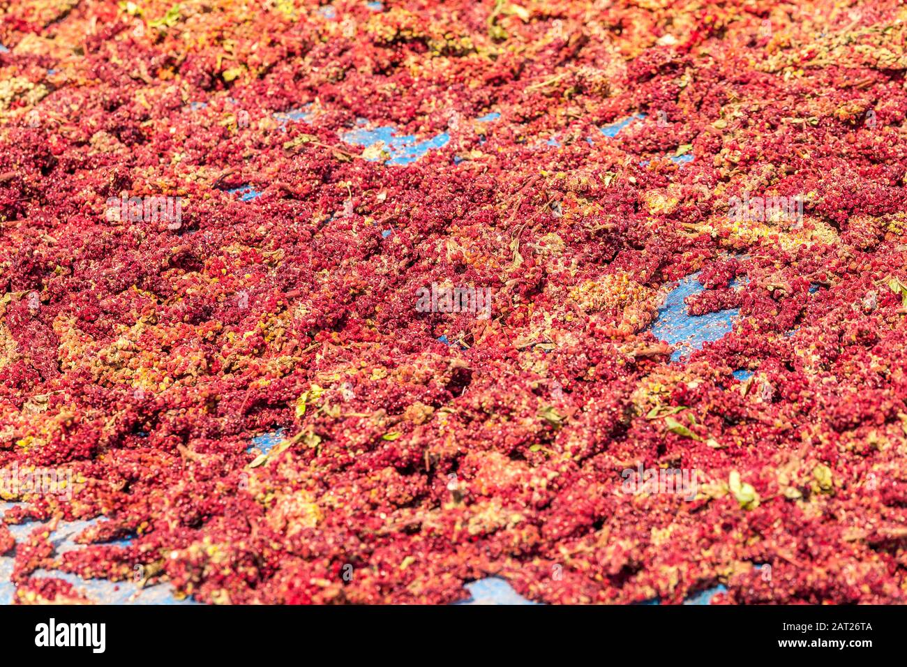 Powder of sumac hi-res stock photography and images - Alamy