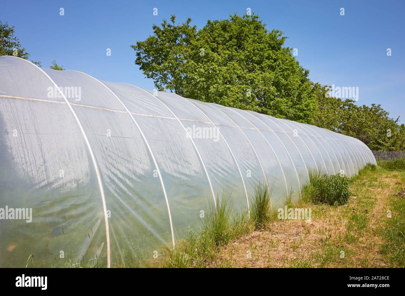 Plastic farming hi-res stock photography and images - Alamy