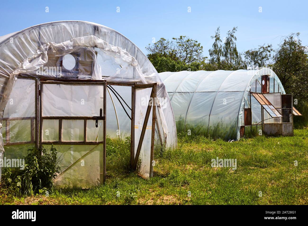 Farming farm greenhouse greenhouses hi-res stock photography and images - Alamy