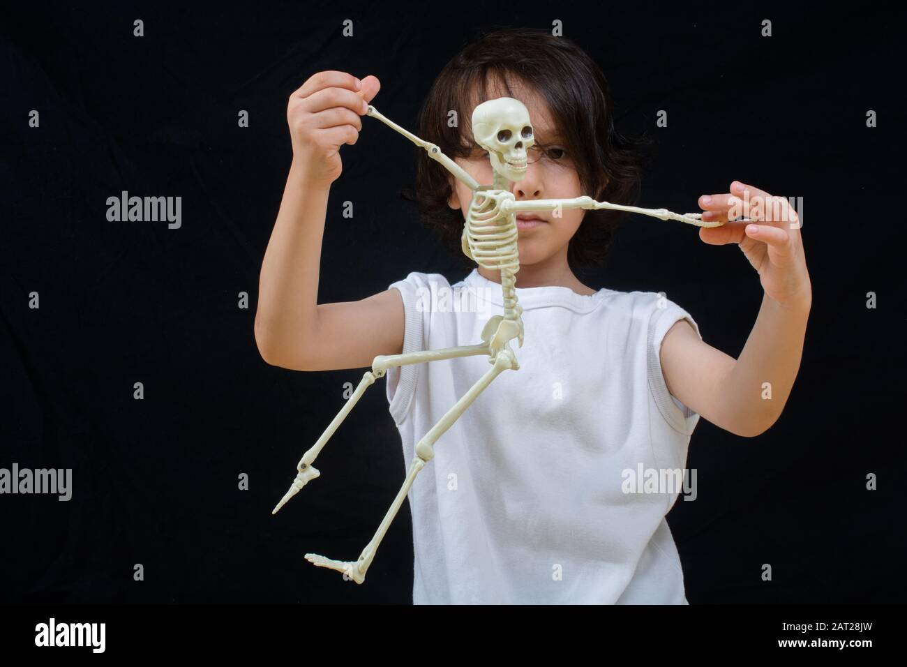 Human skeleton in classroom hi-res stock photography and images - Alamy