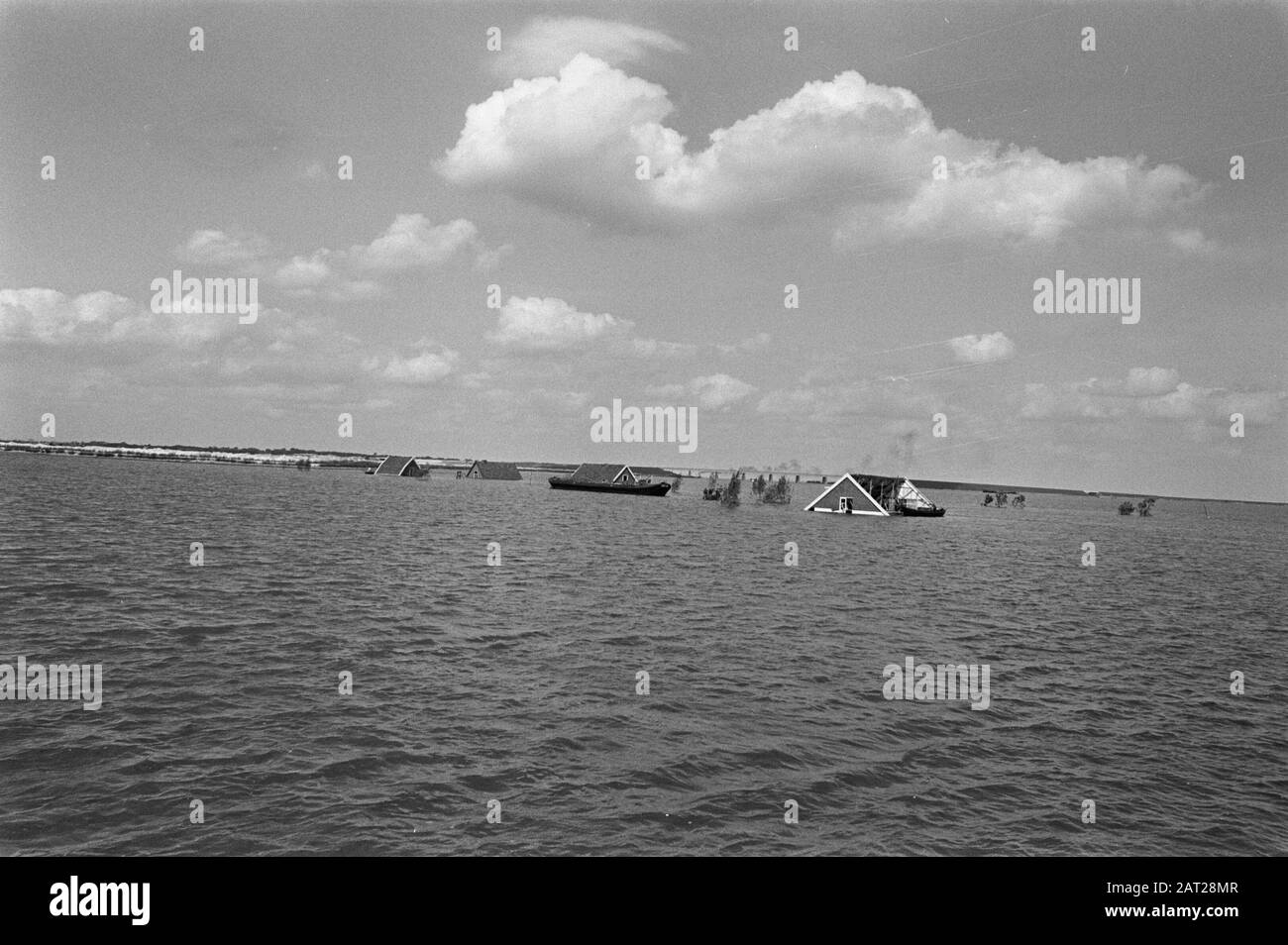 Built an ark Black and White Stock Photos & Images - Alamy