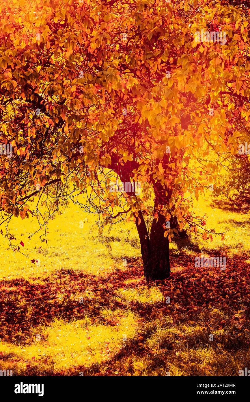 Seasonal travel, retro backdrop and rural environment concept ...