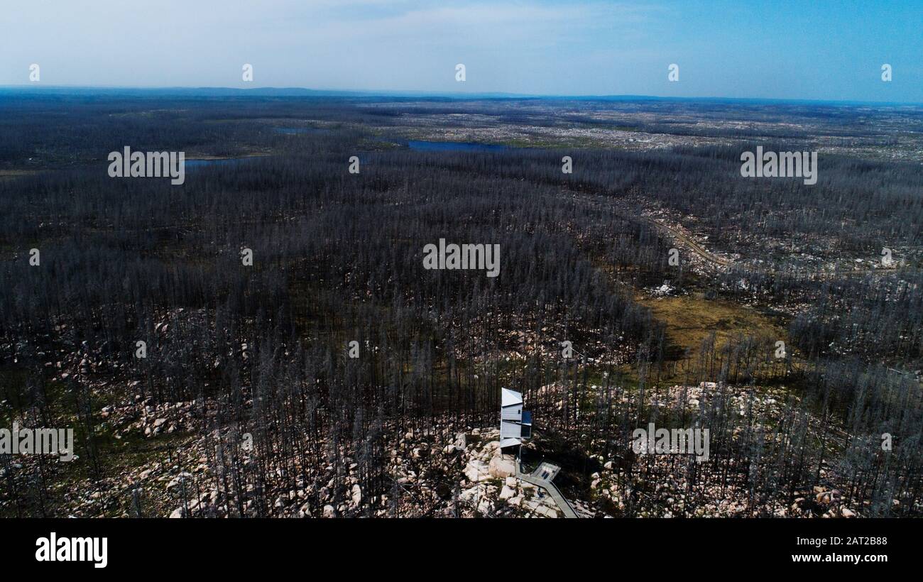 Swedish forest after large fire Stock Photo - Alamy