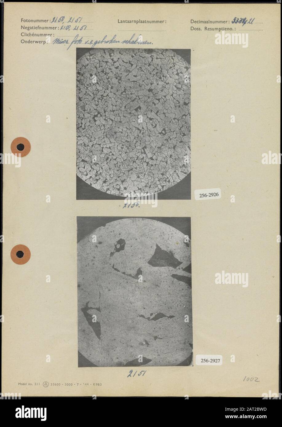 Photo 1: Microscopic photograph of a broken shale (11x8,5 cm; unknown ...