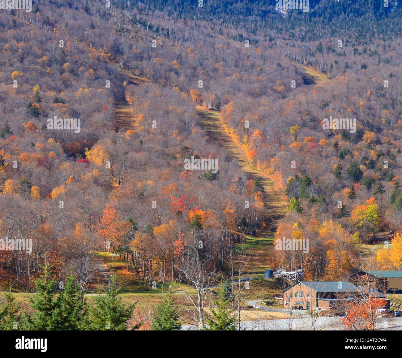 Beautiful Natural Forest Mountain Background in Fall Season. Landscape ...