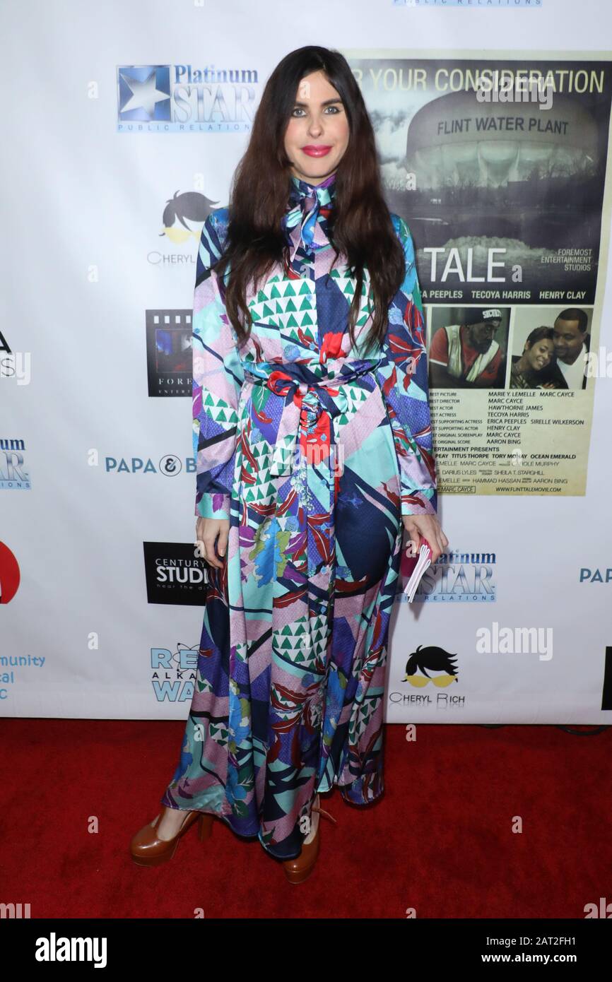 Premiere of 'Flint Tale' at the Laemmle Glendale Theatre in Glendale, California on December 29 ...