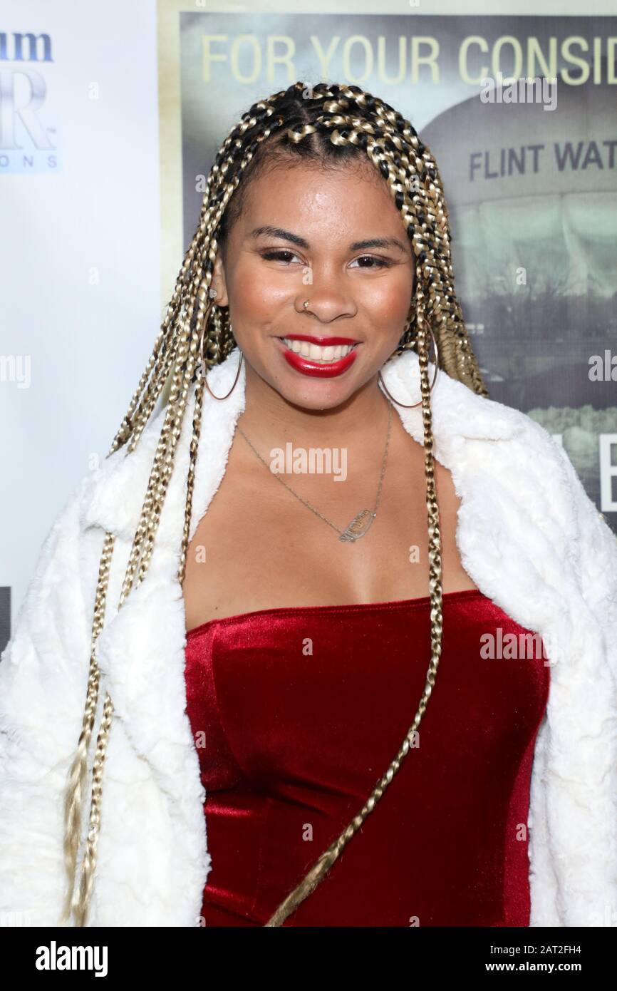 Premiere of 'Flint Tale' at the Laemmle Glendale Theatre in Glendale ...