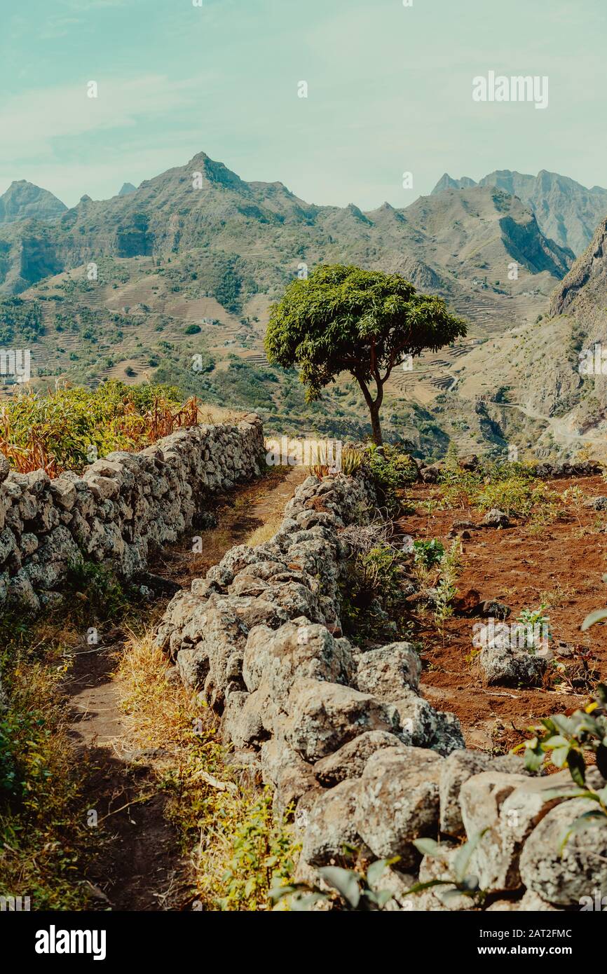 Mango plateau hi-res stock photography and images - Alamy