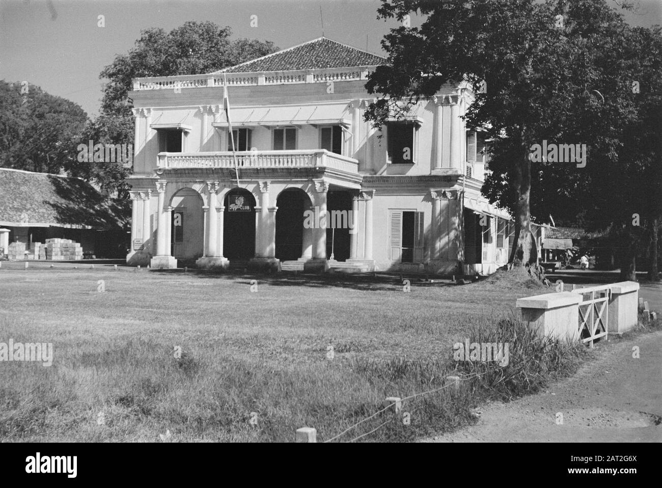 Tigerclub hi-res stock photography and images - Alamy