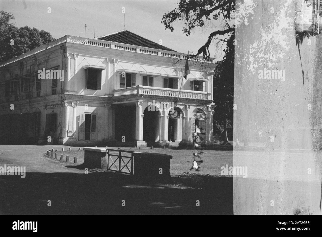 Tigerclub hi-res stock photography and images - Alamy