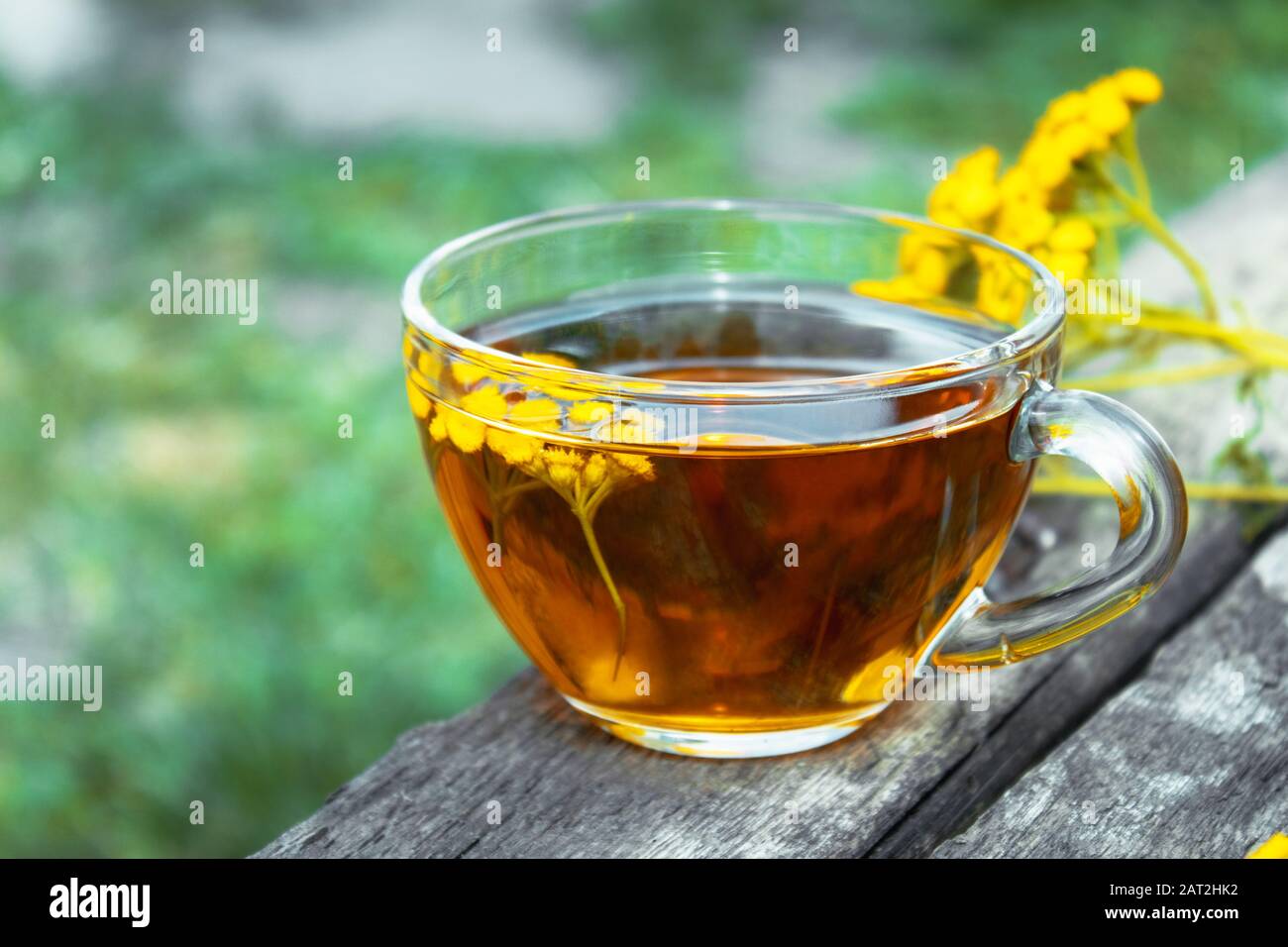 Herbal tea with tansy in a glass mug and yellow tansy flowers on the ...