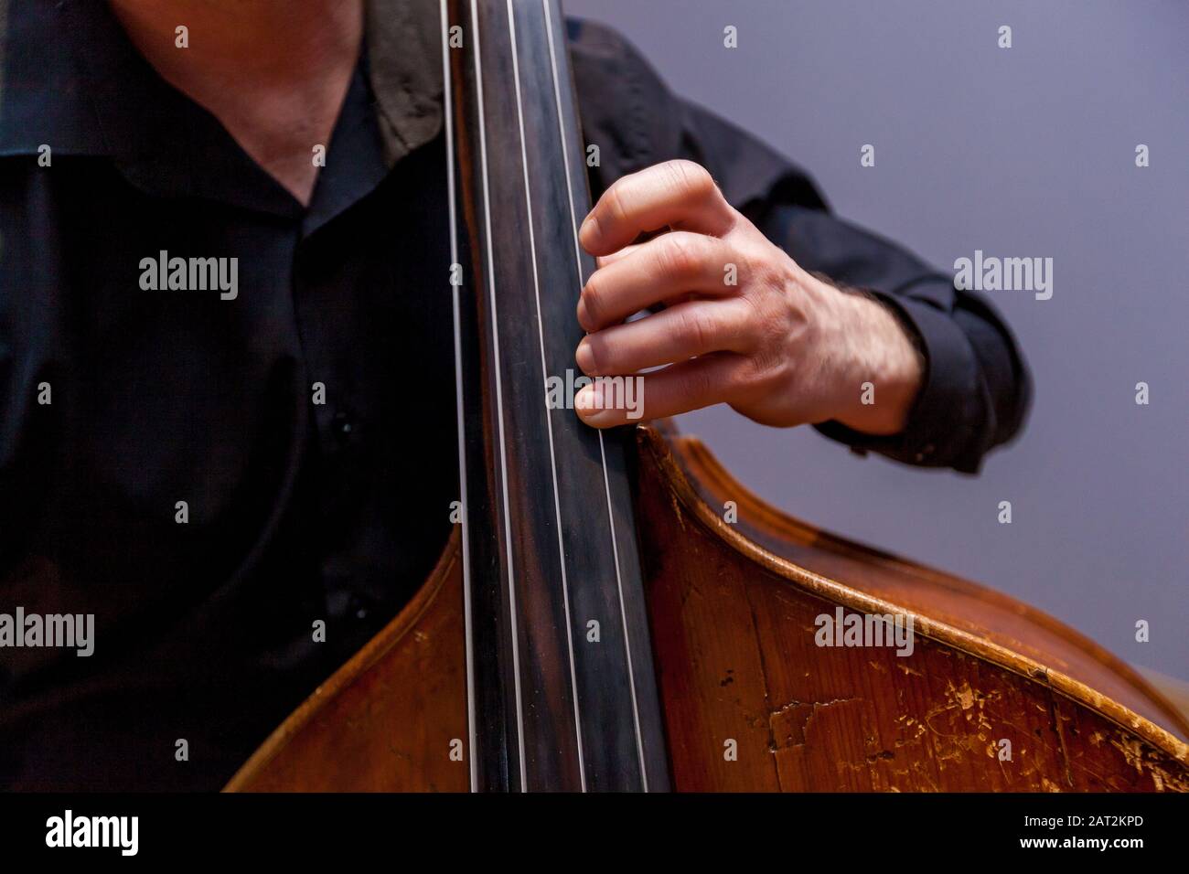 A musician with a double bass in a dark suit playing on the background ...