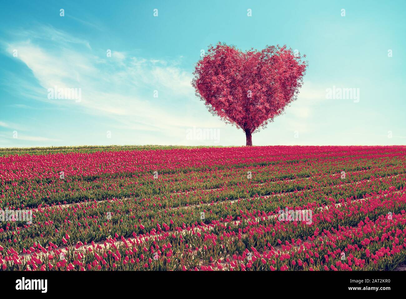 Abstract field with heart shape tree under blue sky. Beauty nature ...