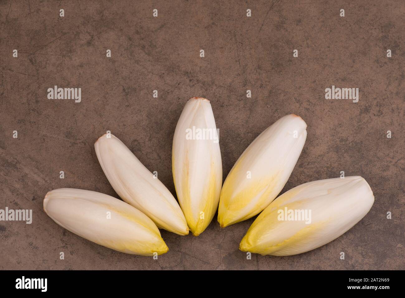 Chicory on a brown textured background, empty copy space Stock Photo ...
