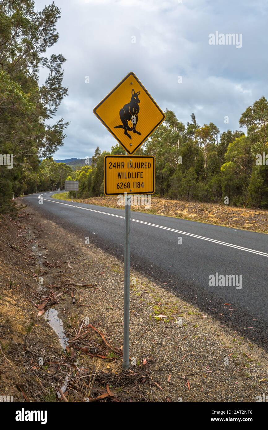 Kangaroo crossing road sign hi-res stock photography and images - Alamy
