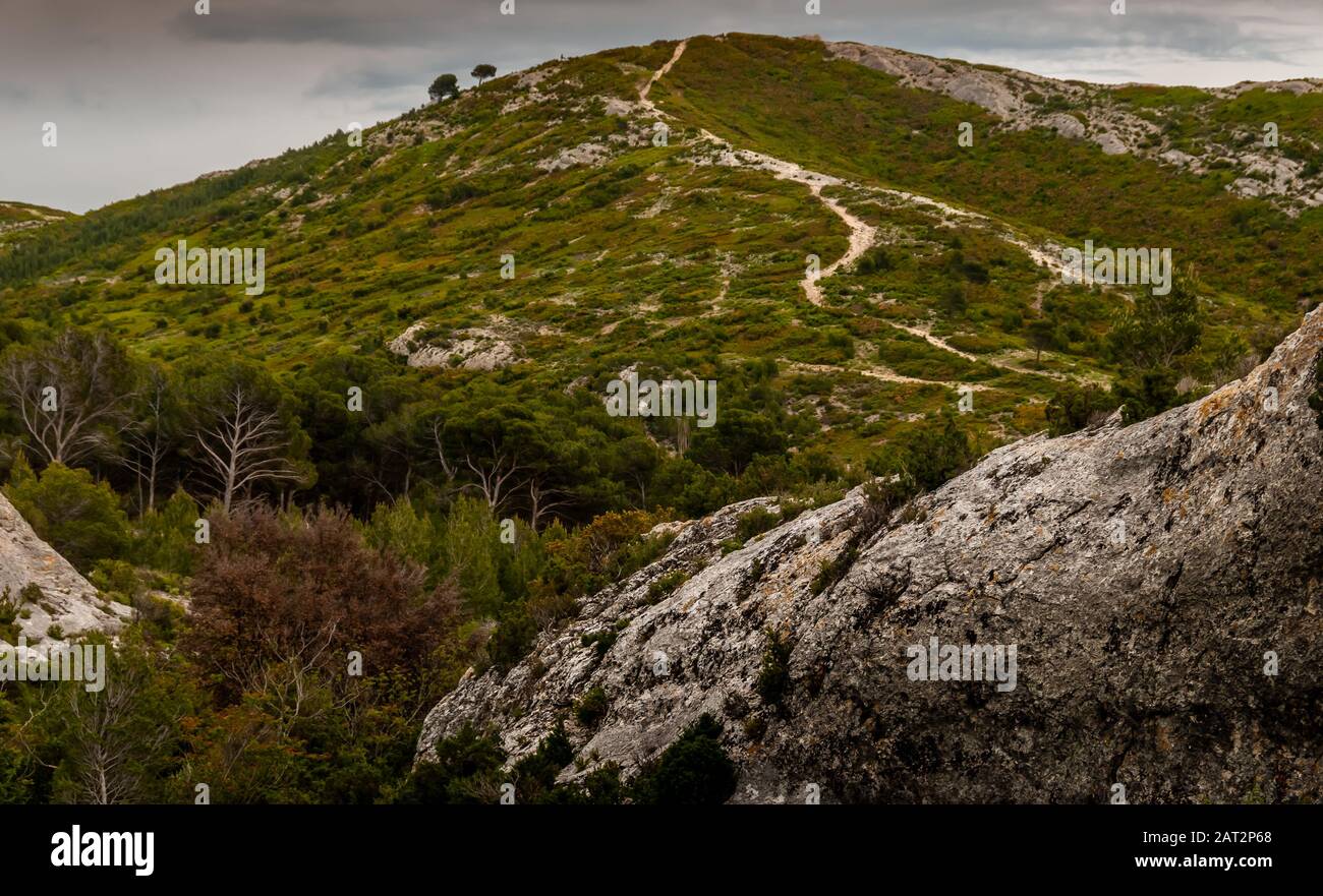 Rolling wild countryside in the alpilles, provence ,south of France ...