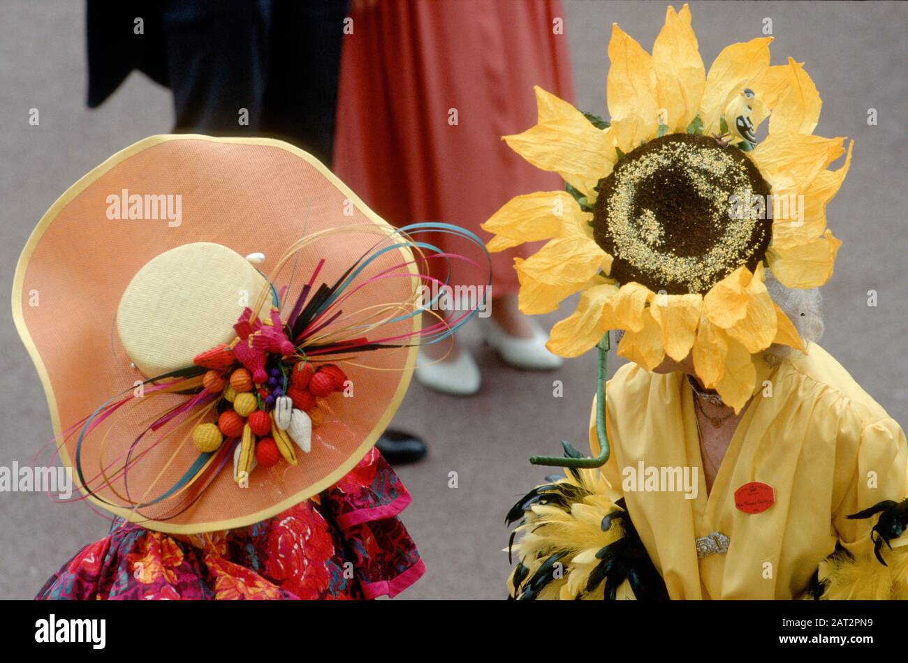 Mrs shilling hi-res stock photography and images - Alamy