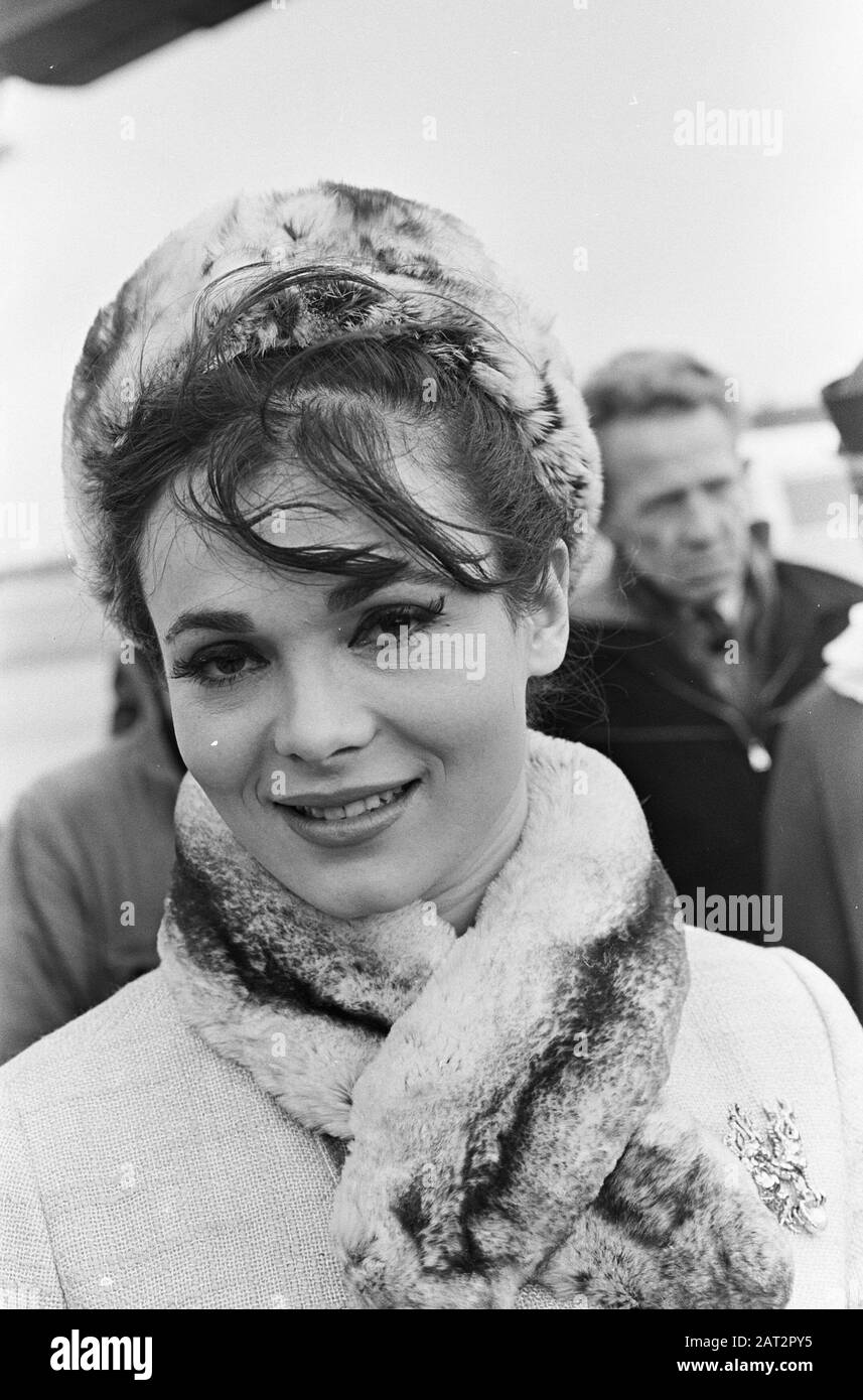 Gila golan hi-res stock photography and images - Alamy