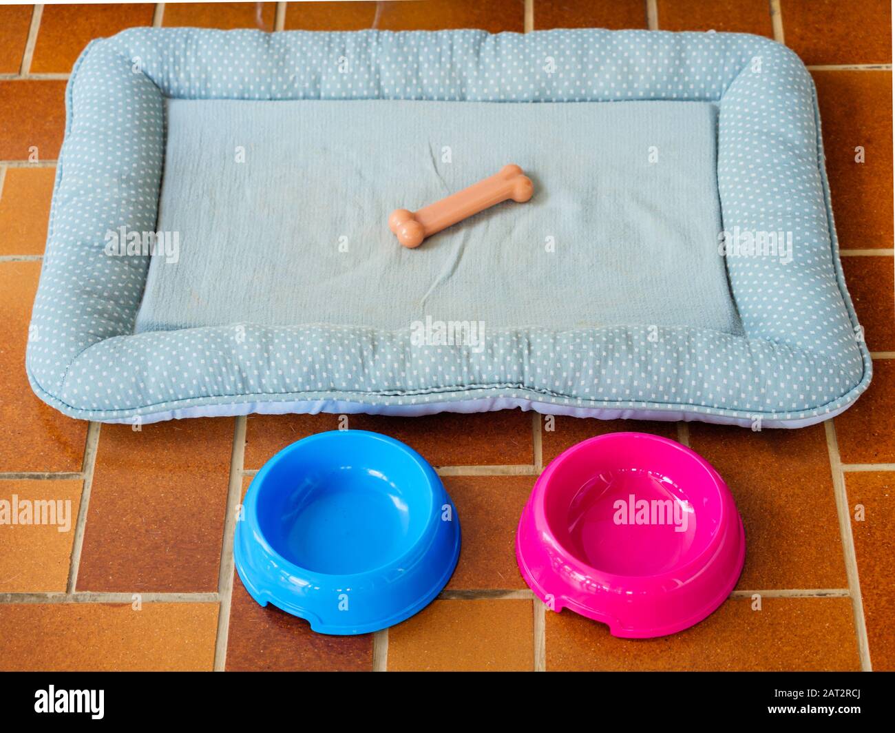 Pet food bone bowls hi-res stock photography and images - Alamy