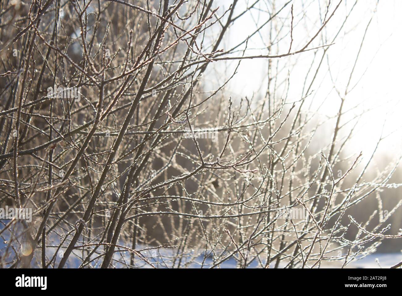 Winter nature. Snowy landscape. Horizontal orientation Stock Photo - Alamy