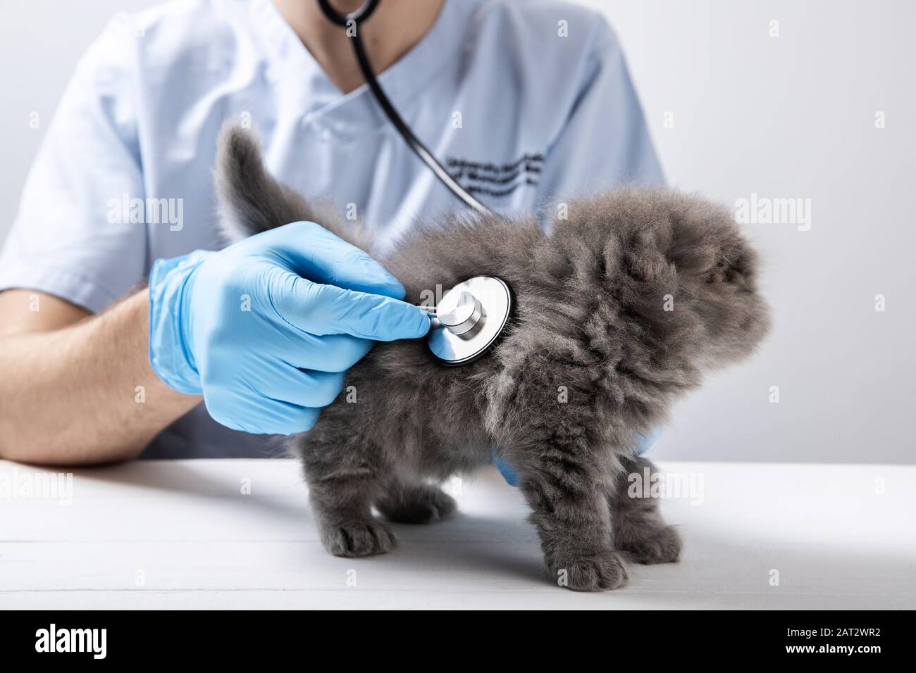 Doctor stethoscope examines woman hi-res stock photography and images ...