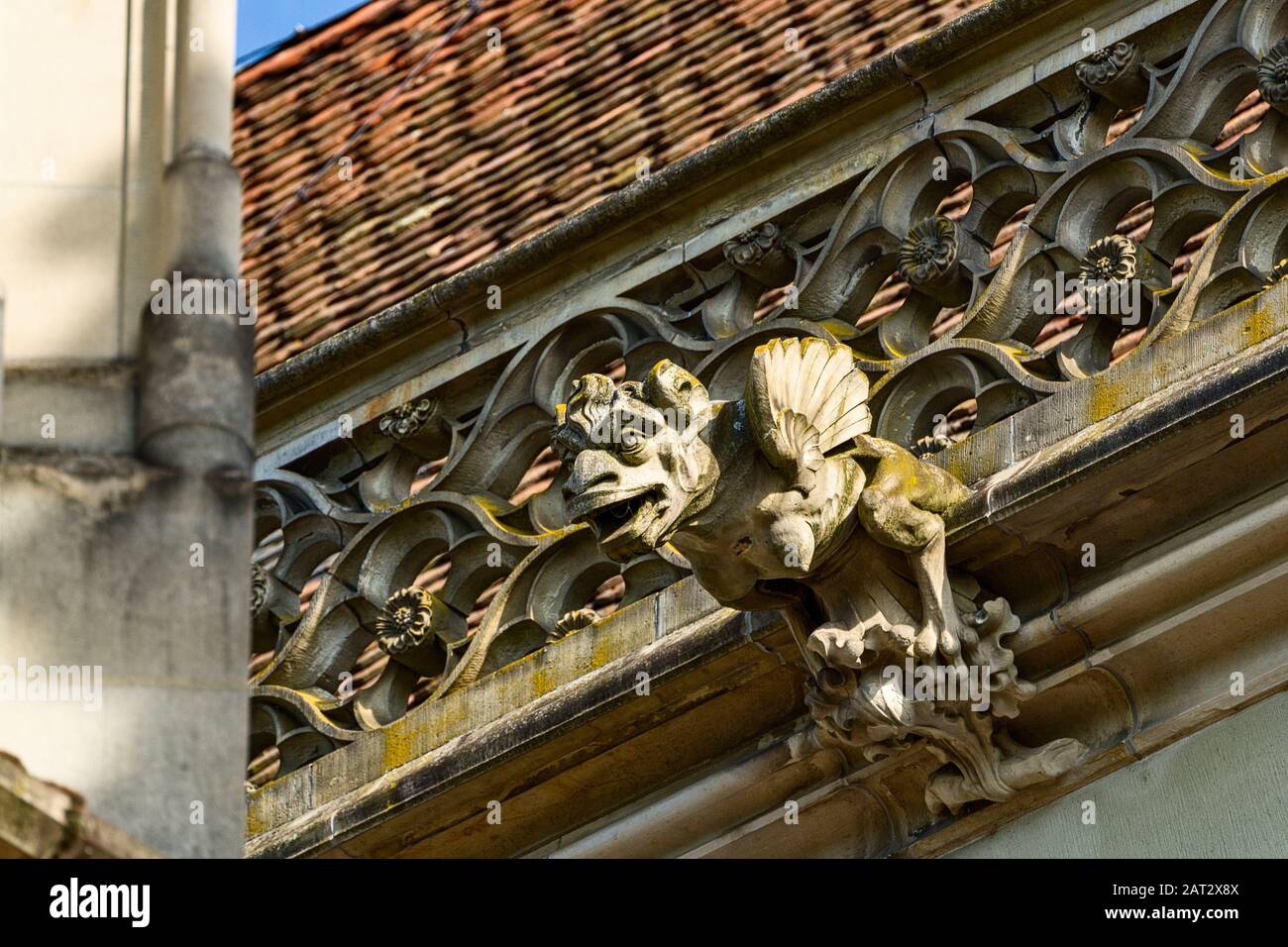 Gargoyle on the roof of the cathedral of Bern, Switzerland Stock Photo ...