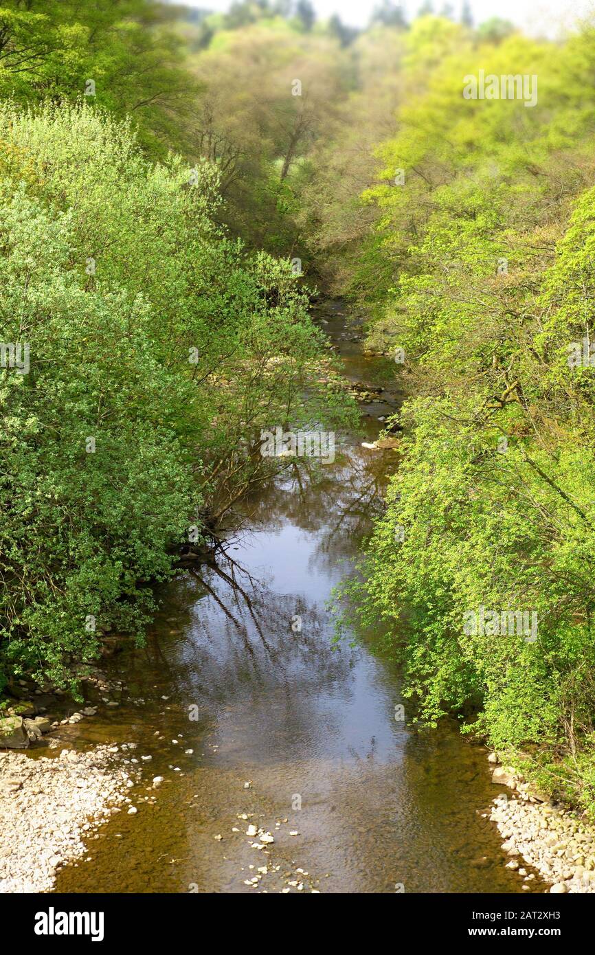 River allendale hi-res stock photography and images - Alamy