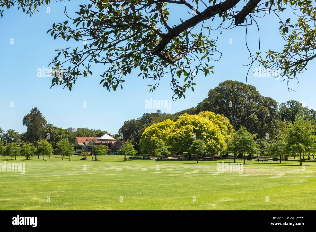 Views of Fawkner Park, Melbourne Stock Photo - Alamy