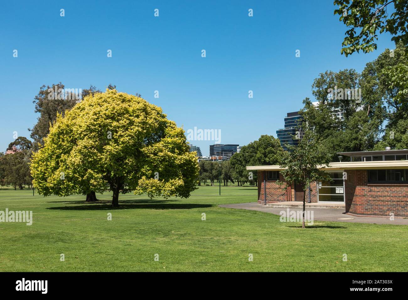 Views of Fawkner Park, Melbourne Stock Photo - Alamy