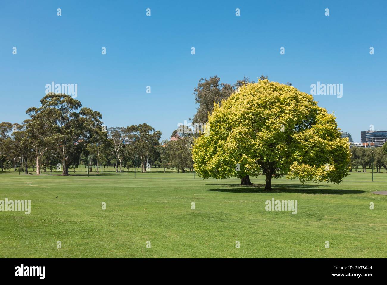 Fawkner Park High Resolution Stock Photography and Images - Alamy