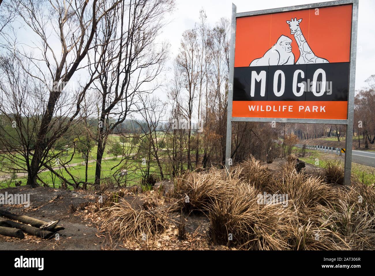 Mogo, Australia. 30th Jan, 2020. Mogo township was destroyed as ...