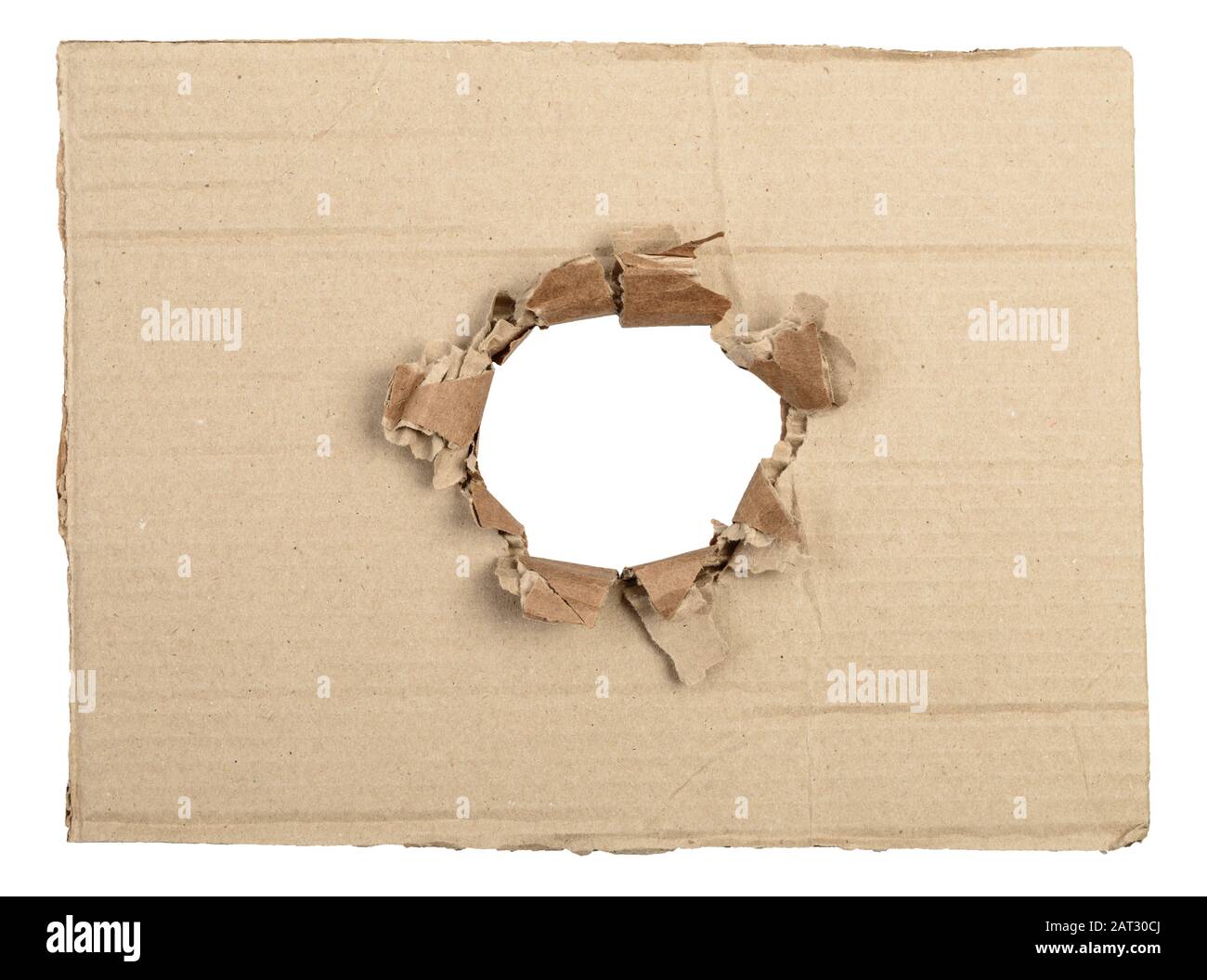 Rip torn hi-res stock photography and images - Alamy